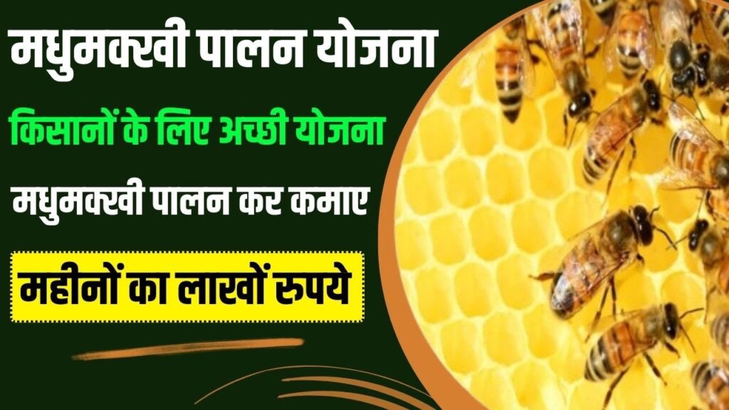 Madhumakhi Palan Yojana 2024: मधुमक्खी पालन योजना में आवेदन कैसे करें ...
